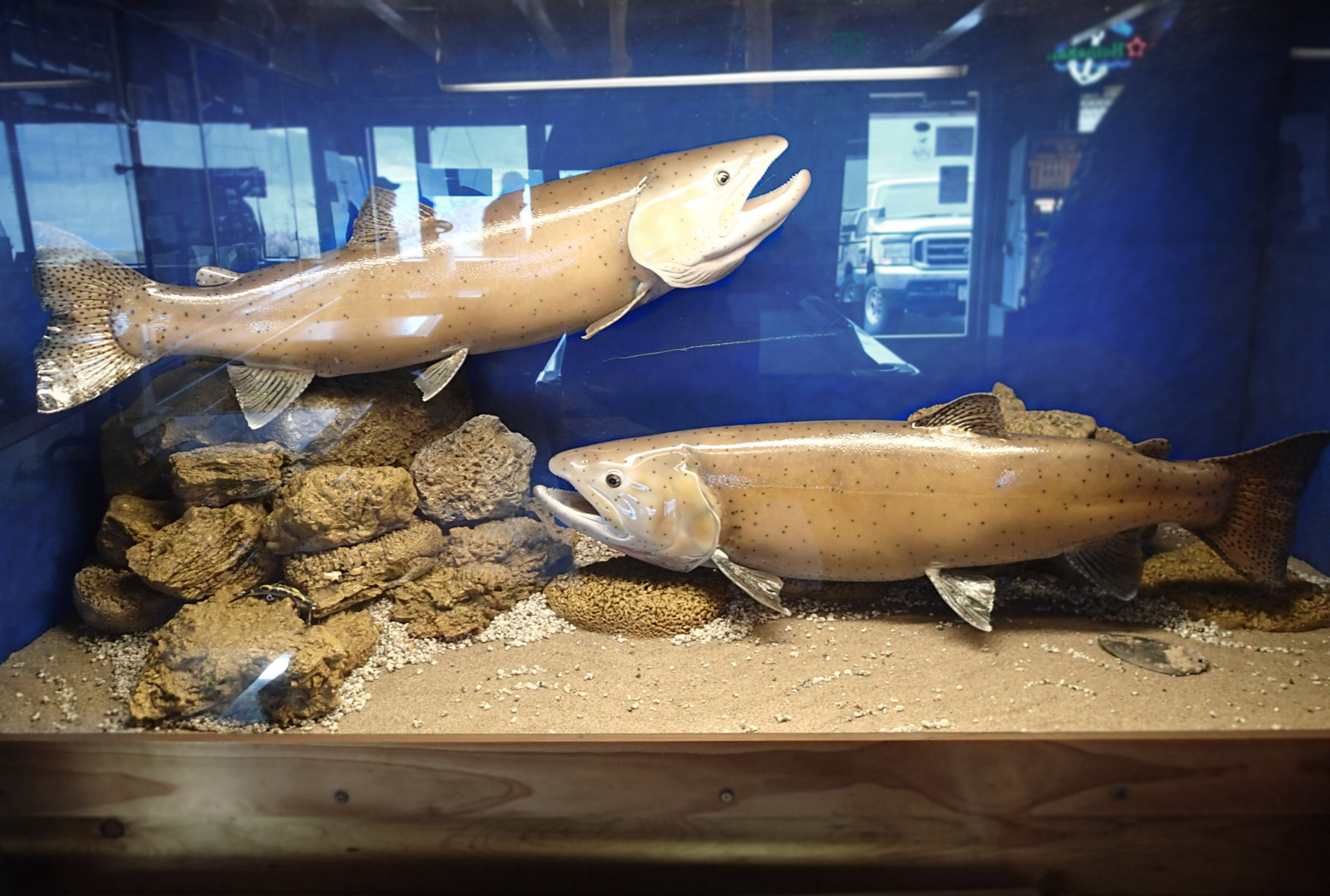 Pyramid Lore – CatchSnapRelease.com