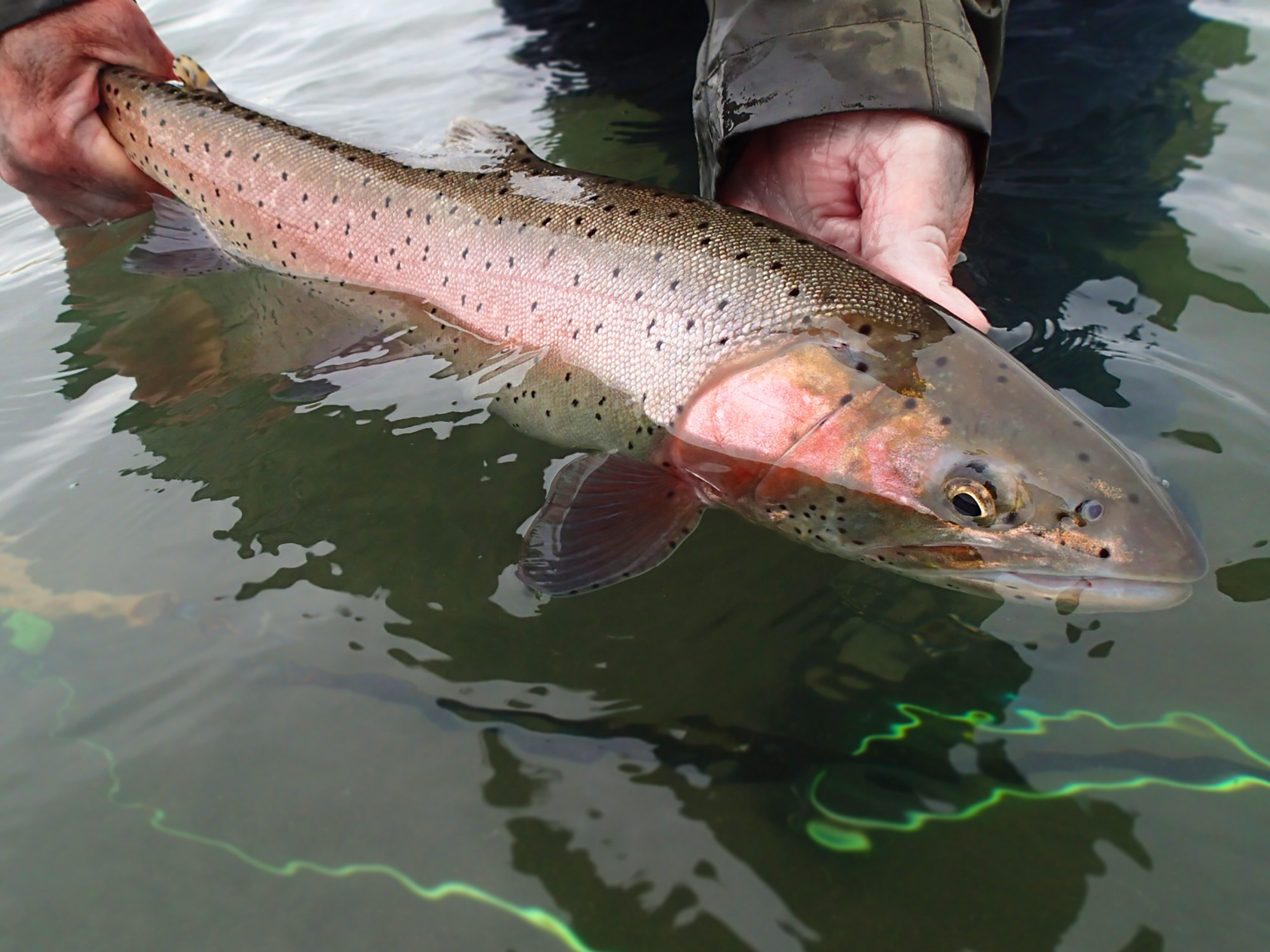 Pyramid Lore – CatchSnapRelease.com